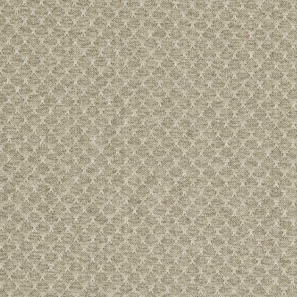 Trelica Natural fabric by Clarke & Clarke Evora Collection – Causeway ...